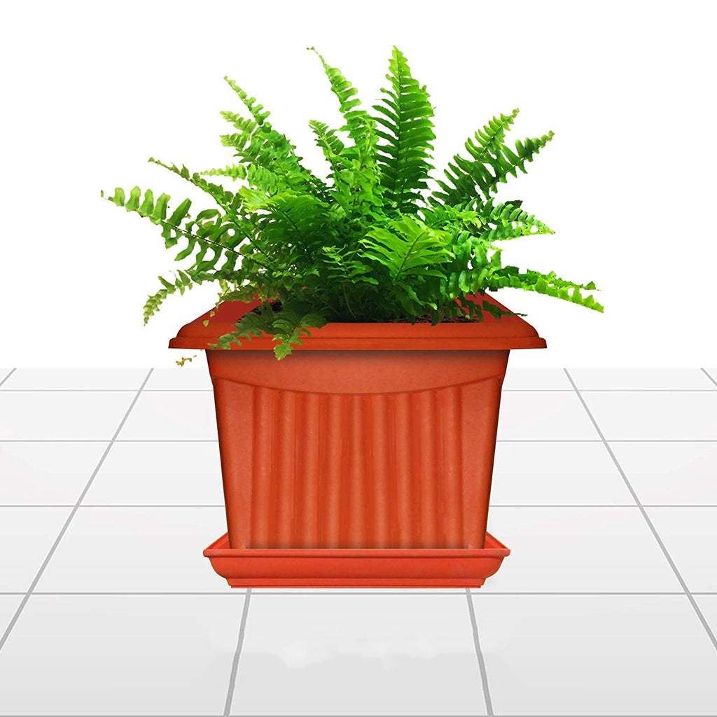 AM0934 Flower Pot Square Plastic Plant 10 Inch Saucer Tray Plant Pot ...